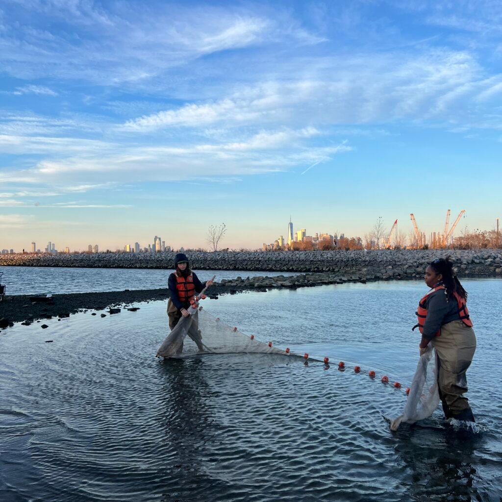 The Billion Oyster Project